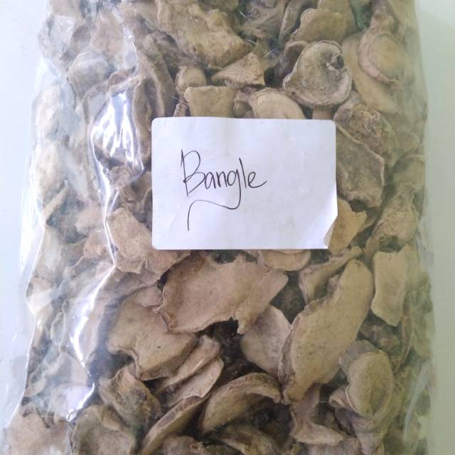 Jual Herbal Bangle Kering Asli 1kg / Bengle Kering Antibiotok Alami ...