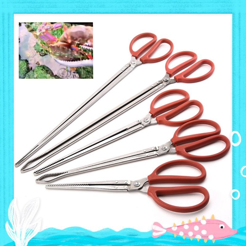Jual Gunting Capit Pengambil Kepiting Udang Belut - Houseen | Shopee ...
