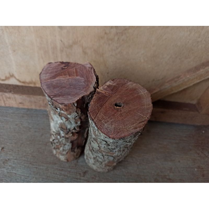 Jual bahan kayu stigi laut full galih bobot 1 kg | Shopee Indonesia