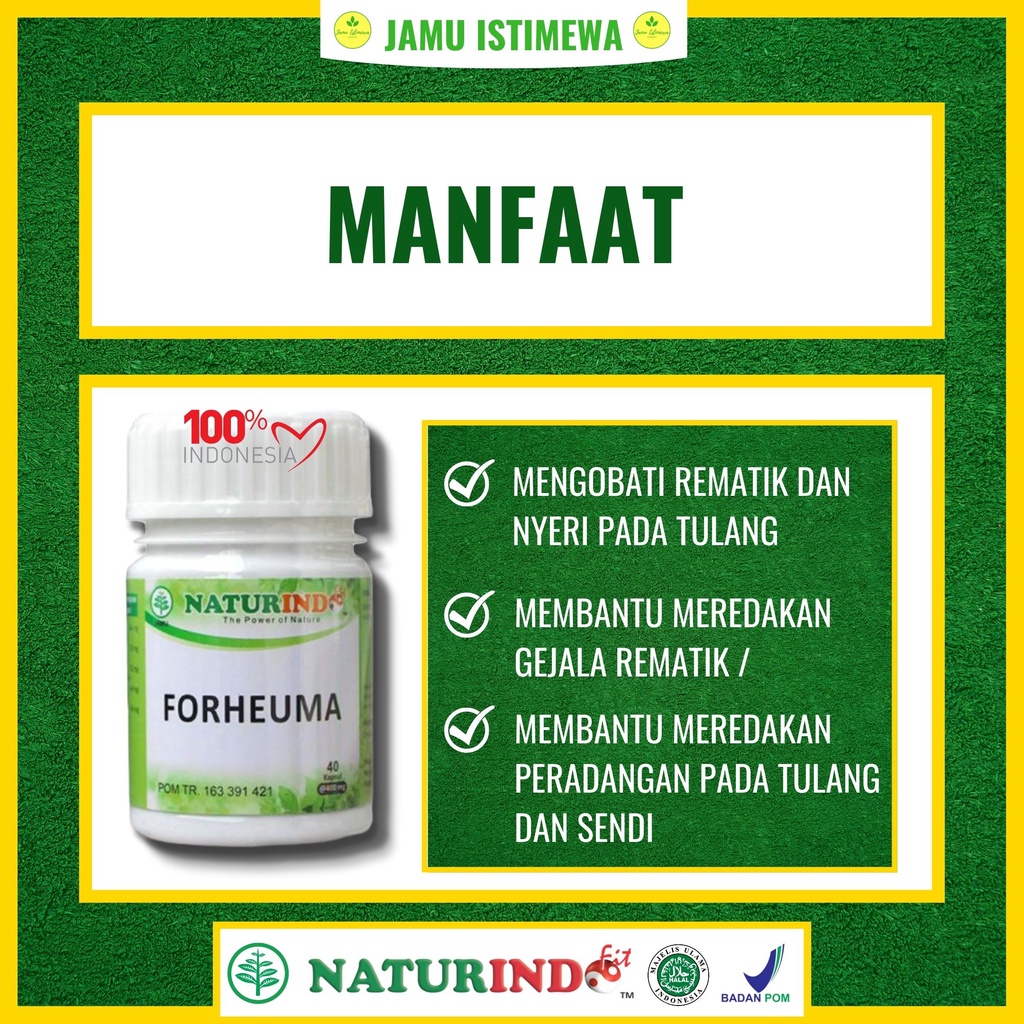 Jual Obat Tulang Rematik Reumatik Nyeri Sendi dan Tulang Herbal Rematik ...