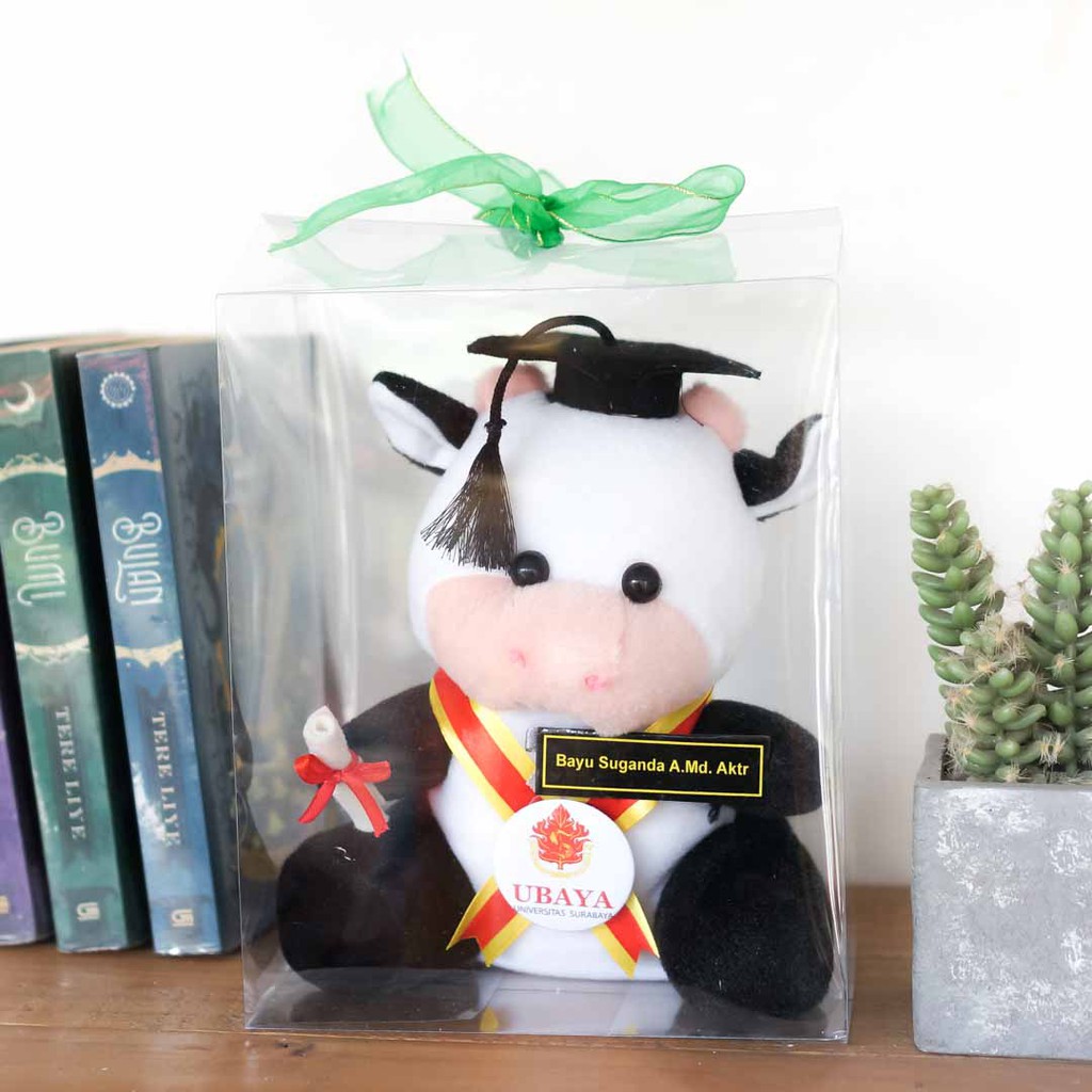 Jual Kado Wisuda Boneka Cow Small Black Box Mika | Shopee Indonesia