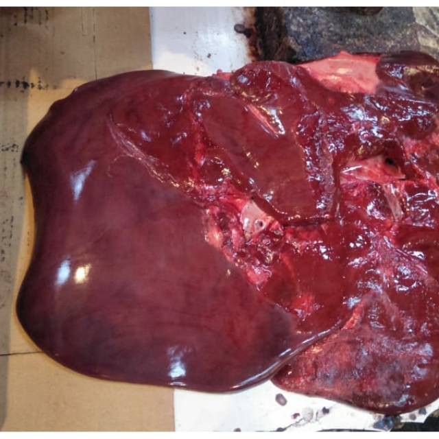 Jual Paru Sapi Mentah Fresh Daging Segar Kiloan swalayan murah jakarta ...