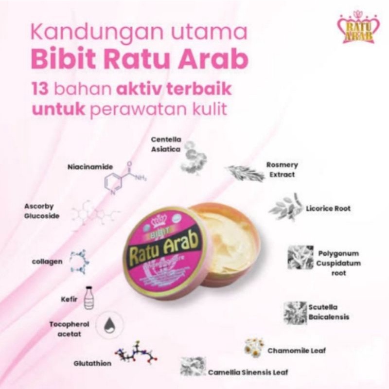 Jual Bibi Ratu Arab | Shopee Indonesia