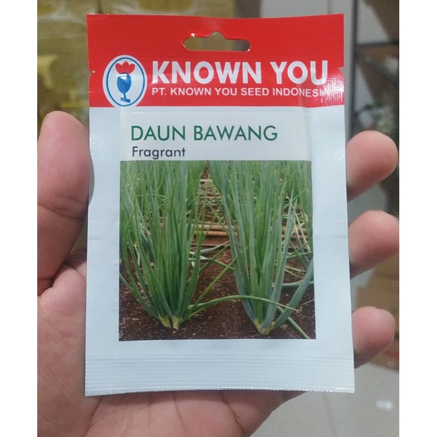 Jual BENIH LONCANG DAUN BAWANG FRAGRANT 5 GR CAP KYS | Shopee Indonesia