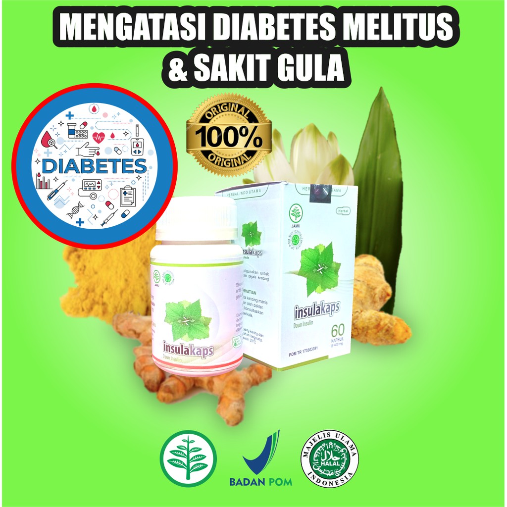 Jual Obat Diabetes Dan Kencing Manis Herbal Insulin tanpa efek samping ...