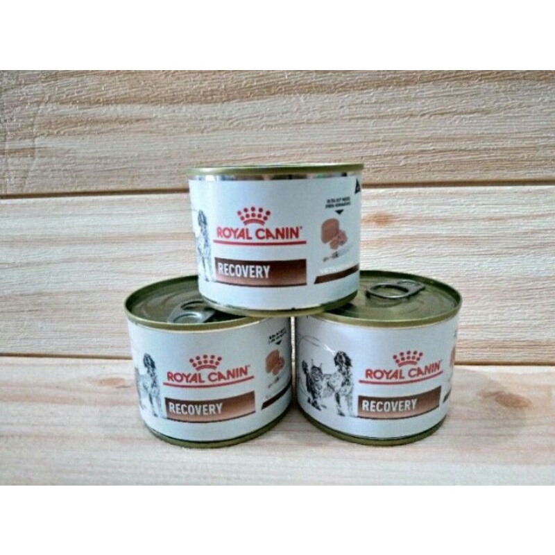 Jual Royal Canin Recovery (wet food) | Shopee Indonesia