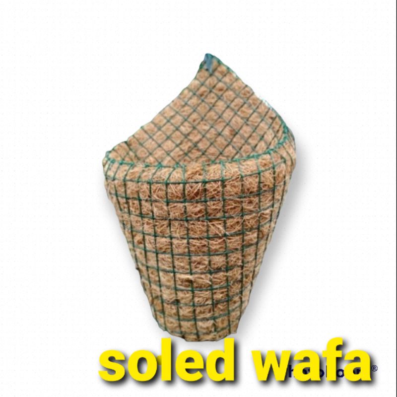 Jual POT SERABUT KELAPA BUNGA ANGGREK TEMPEL DINDING KERUCUT | Shopee ...