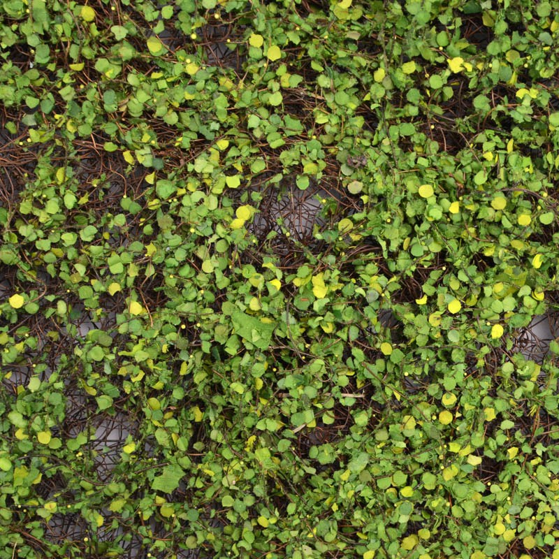 Jual Rumput Sintetis | Moss Carpet Rustic 40X90Cm | Shopee Indonesia