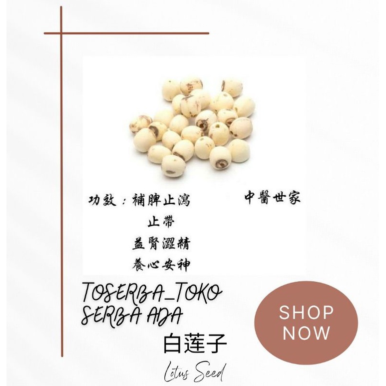 Jual 100gr herbal bai lian zi jaminan premium lotus seed biji lotus ...