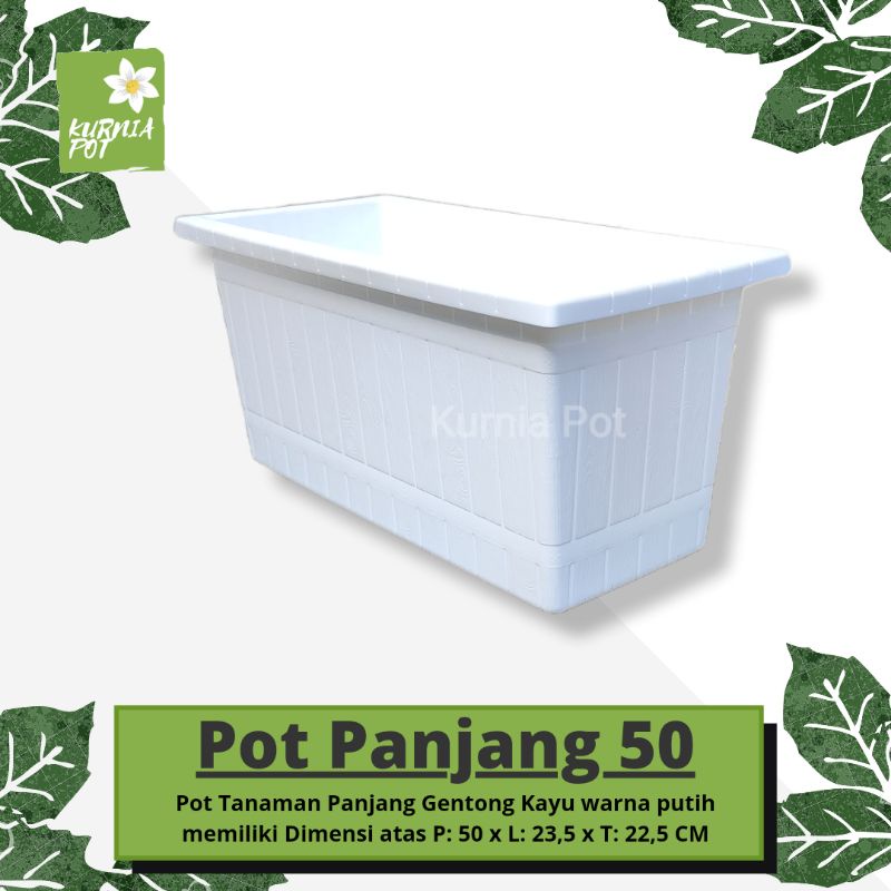 Jual Pot Bunga Tanaman Panjang Gentong Kayu Putih 50 Cm Tinggi | Shopee ...