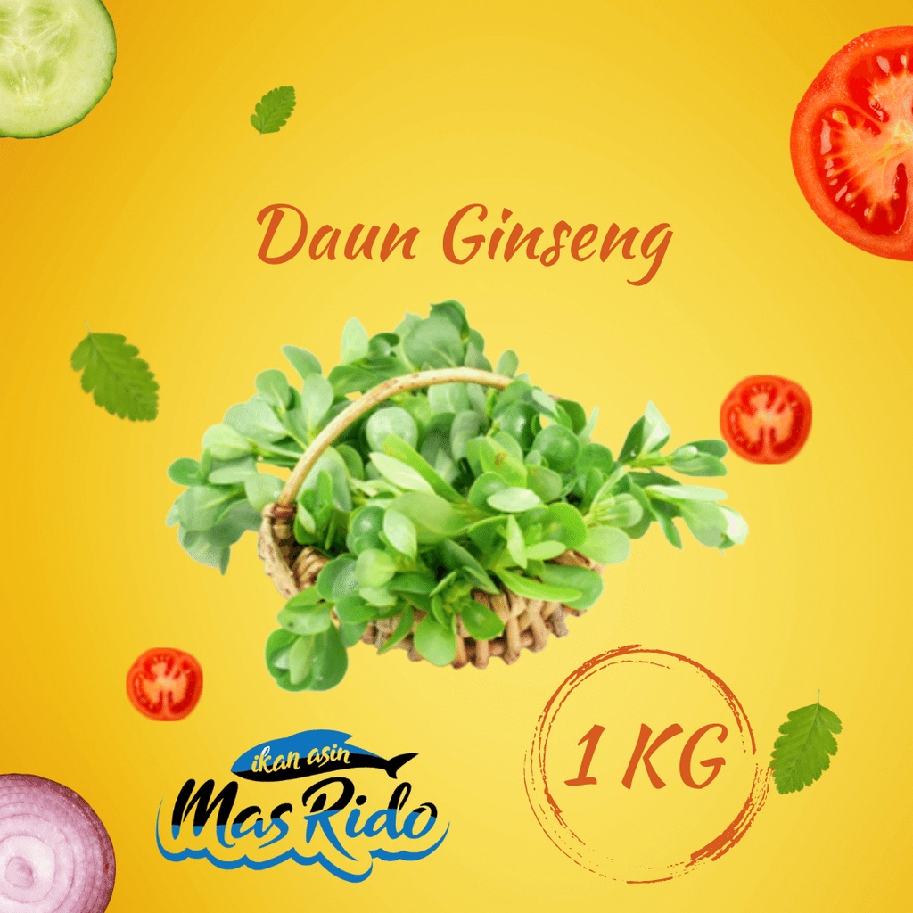 Jual Daun Ginseng 1 Kg Gingseng Sayur Segar | Shopee Indonesia