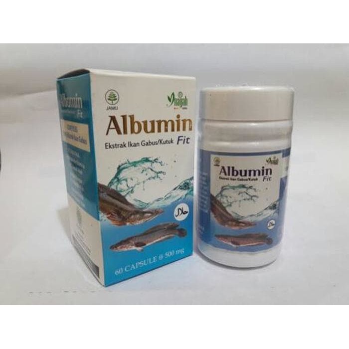 Jual ALBUMIN FIT albuminfit INAYAH isi 60 kapsul ekstrak ikan gabus ...