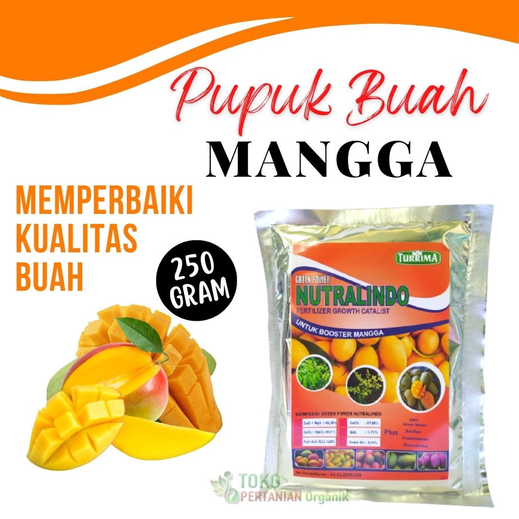 Jual Pupuk Organik pelebat boster mangga NUTRALINDO, Pemicu supaya Mangga Arumanis cepat berbuah ...