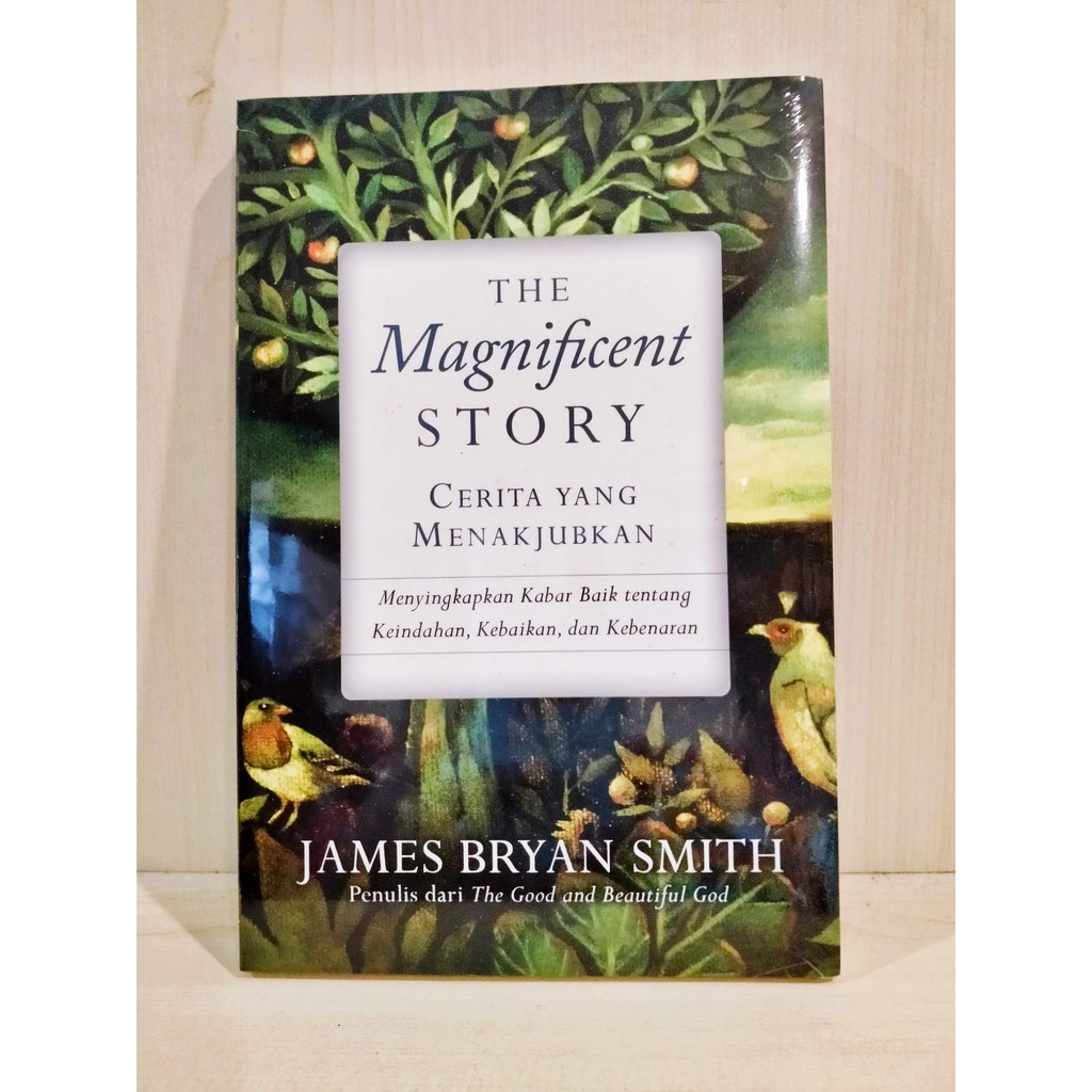 Jual Buku THE MAGNIFICENT STORY | Shopee Indonesia