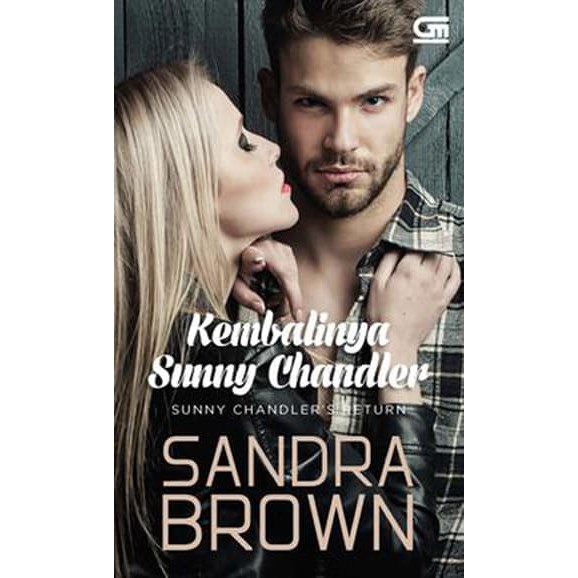 Jual Novel Roman Sandra Brown - Sunny Chandler's Return - Kembalinya Sunny Chandler - ORIGINAL ...