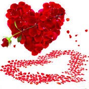 Jual Rose Petal /bunga artificial/ kelopak bunga | Shopee Indonesia