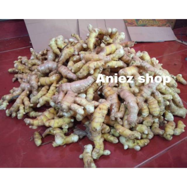 Jual KUNYIT PUTIH segar/Kunyit Temu Mangga/Curcuma Manggae1 kilo gram ...