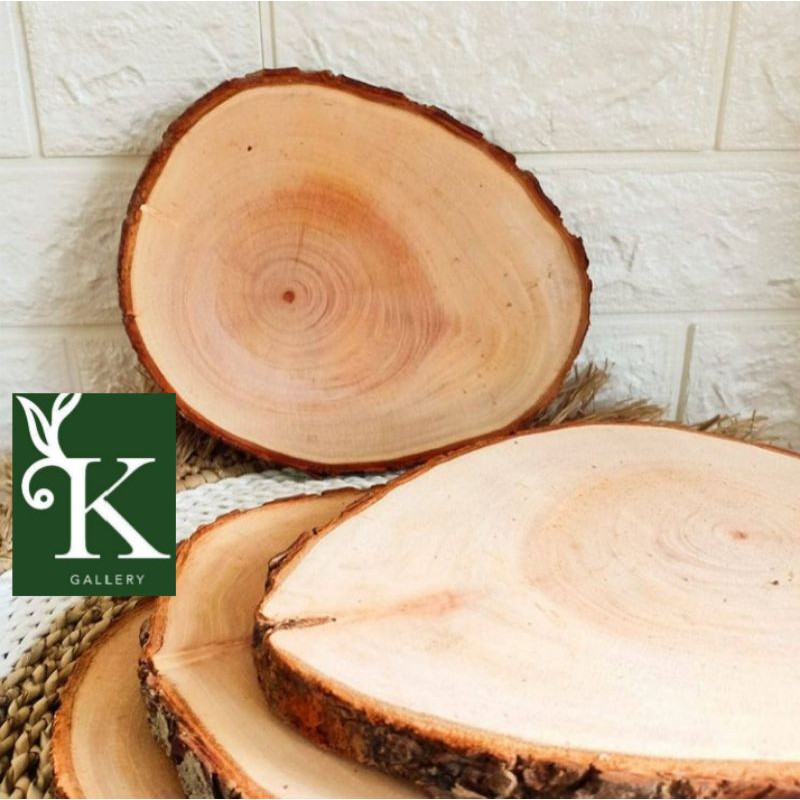 Jual POTONGAN KAYU / WOOD SLICE / TALENAN KAYU DIAMETER 15 sd 18 - + CM ...