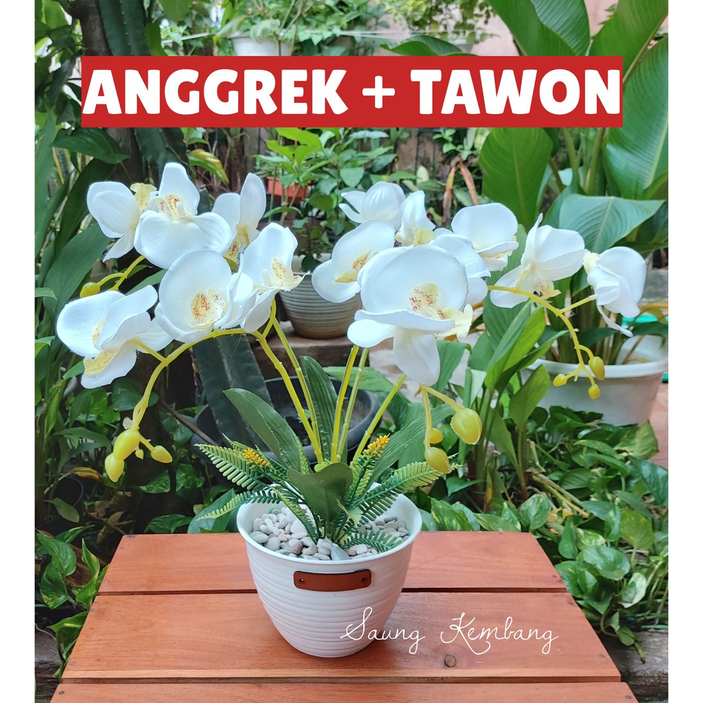 Jual BUNGA ANGGREK PLASTIK + POT PUTIH 18 CM | Bunga Plastik | Shopee ...