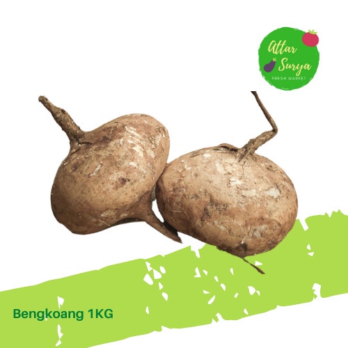 Jual Bengkoang 1KG | Shopee Indonesia