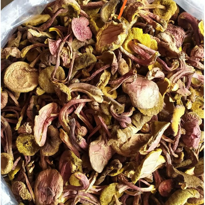 Jual JAMUR PELAWAN MERAH ASLI BANGKA 100GRAM | Shopee Indonesia