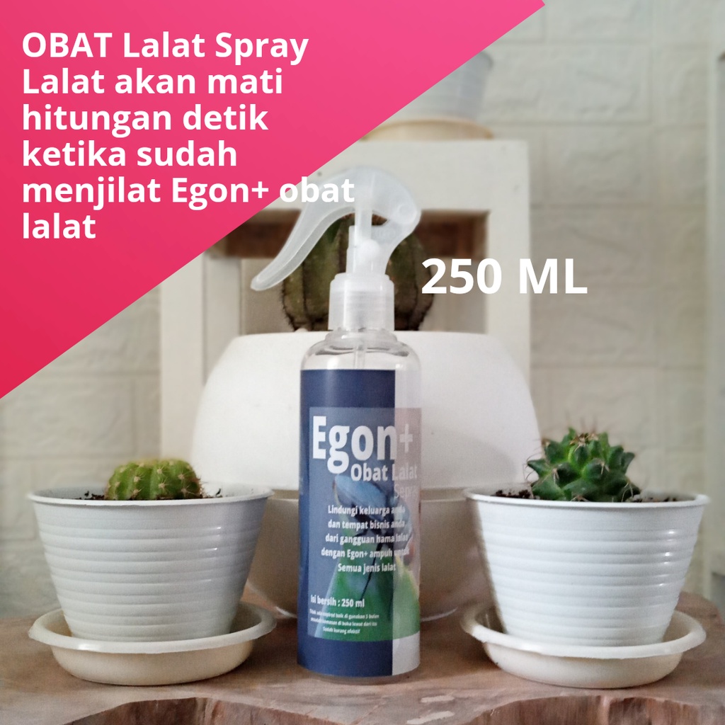 Jual Racun Pengusir Anti Lalat Rumah Obat Pembasmi Lalat Sapi Ampuh ...