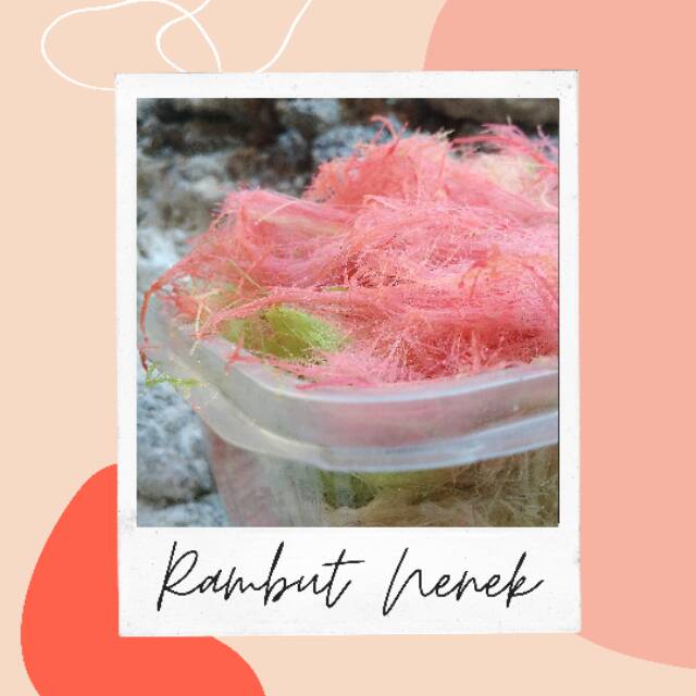 Jual Rambut Nenek / Harum Manis ukuran 1Kg | Shopee Indonesia