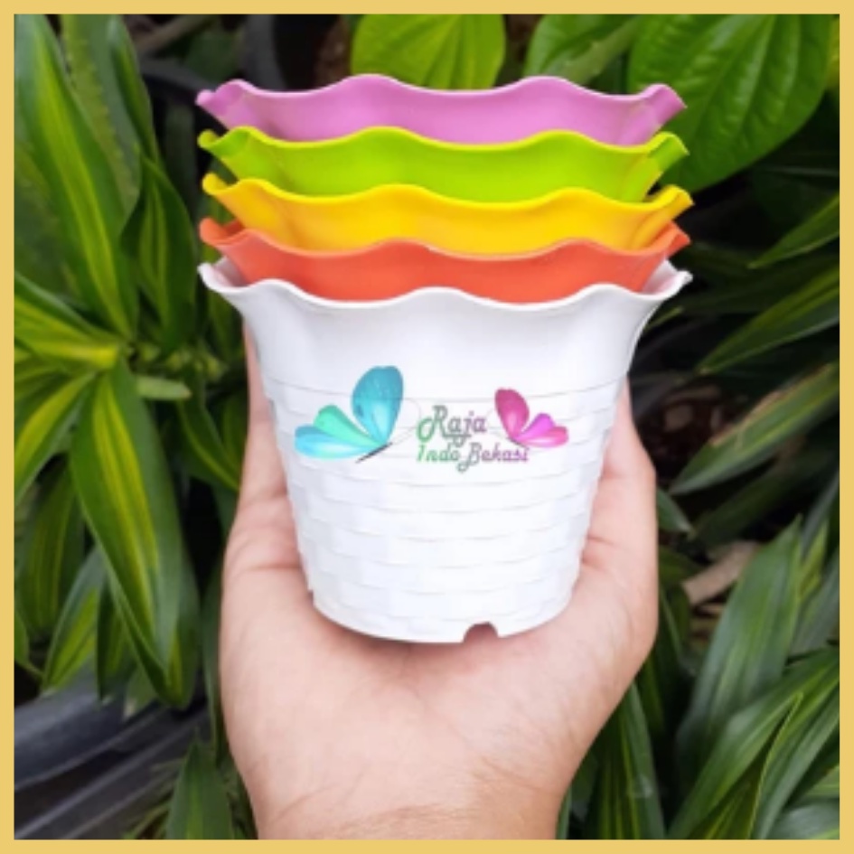 Jual SUN FLOWER MDN 10cm WARNA WARNI Pot bunga Kecil Mini Pot Kaktus ...