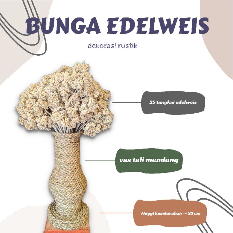 Jual Bunga edelweis set vas tali rami aesthetic | Shopee Indonesia