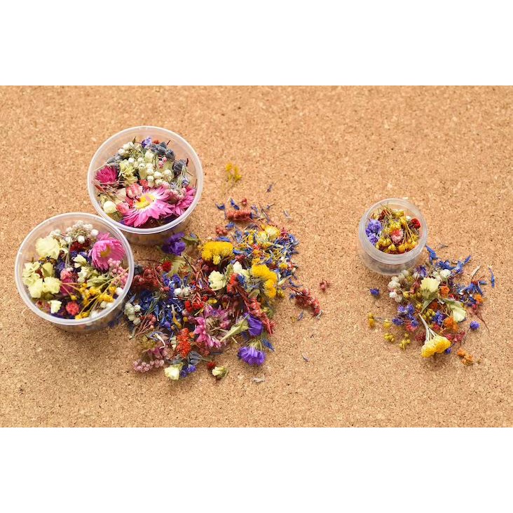 Jual Mix Dried Flower for Resin | Dried Flower Random | Resin Dried ...