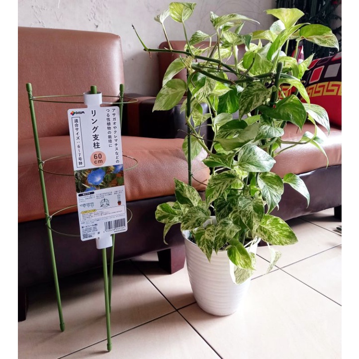 Jual Penyangga Powerfull No. 6 - tinggi 60cm | Shopee Indonesia