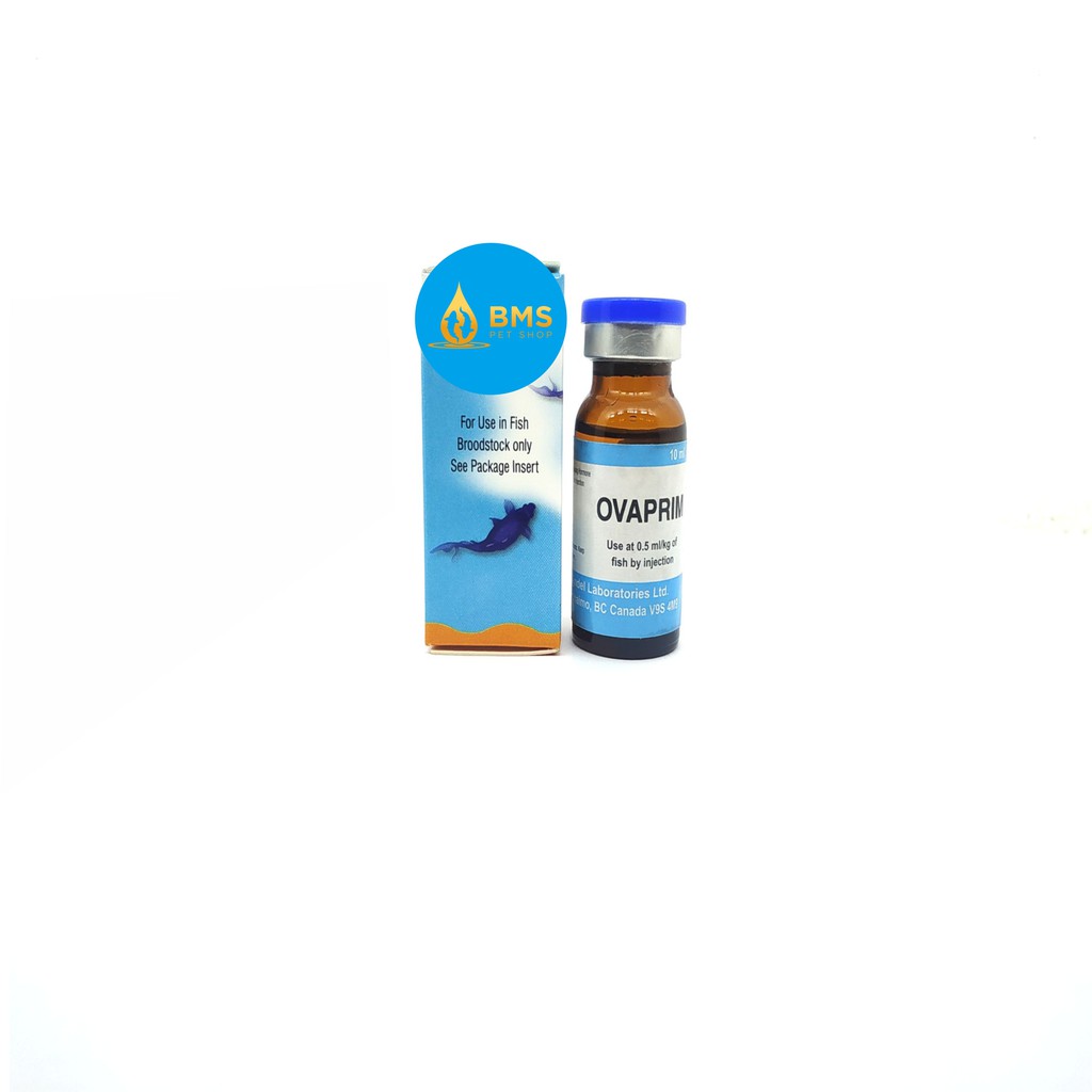 Jual Ovaprim Syndel 10 ml Hormon Pemijahan Ikan Hias AD02802 | Shopee ...
