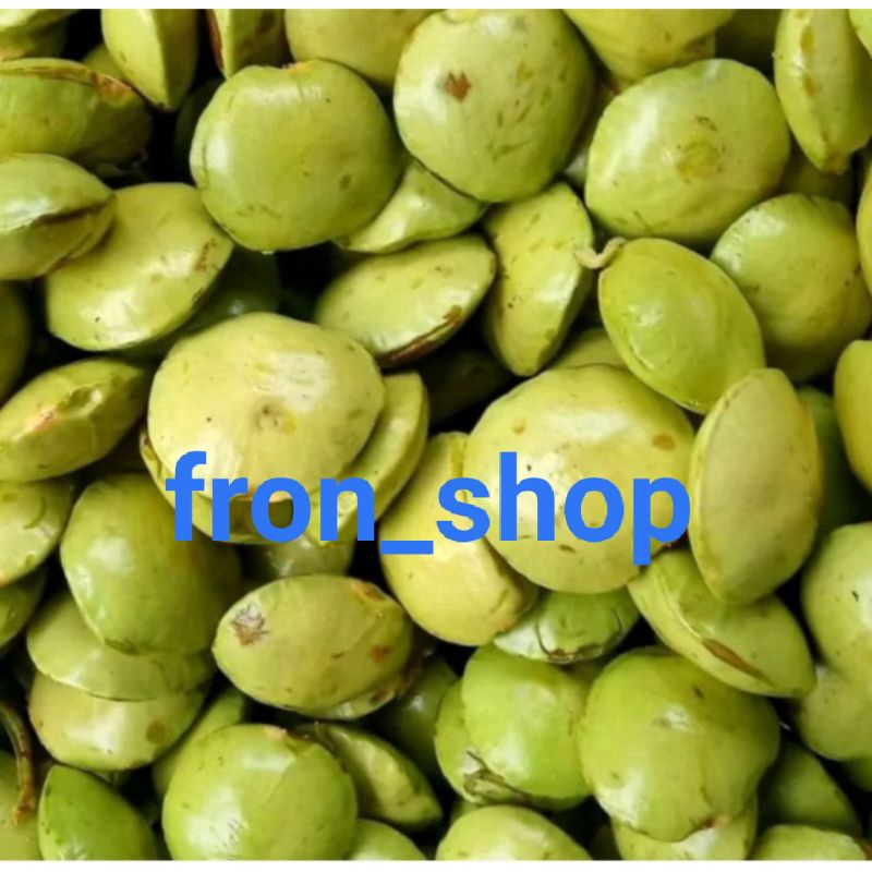 Jual 1KG JENGKOL MUDA KUPAS | JENGKOL MUDA SEGAR ASLI ORIGINAL | Shopee ...