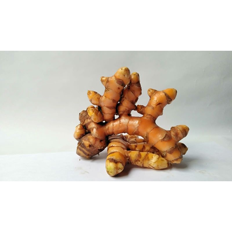 Jual KUNYIT KUNING SEGAR / KUNIR KUNING (GRADE A) 1 KG | Shopee Indonesia