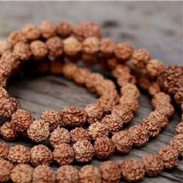 Jual 10pcs Biji Genitri Natural Dried Flower Bunga kering biji kering ...