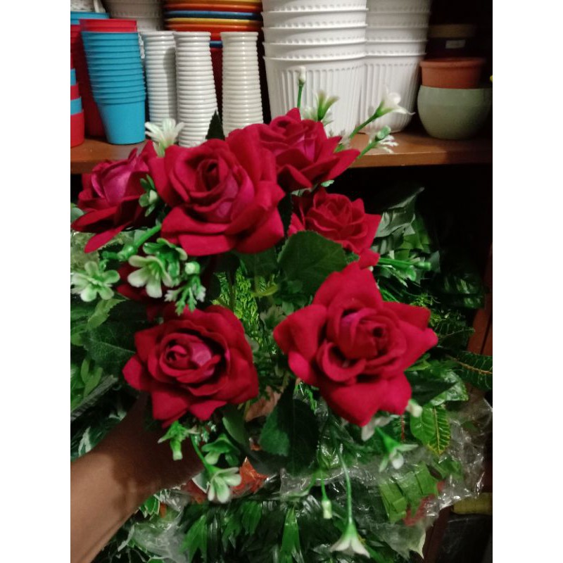 Jual mawar bintang bludru x7 | Shopee Indonesia