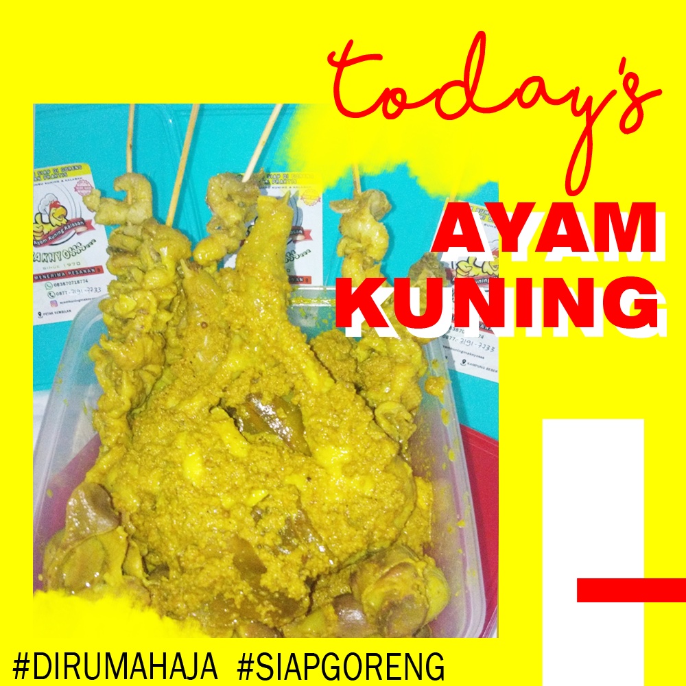 Jual AYAM KUNING PEJANTAN | Shopee Indonesia