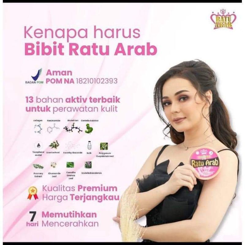 Jual BIBIT RATU ARAB ORIGINAL 100% | Shopee Indonesia