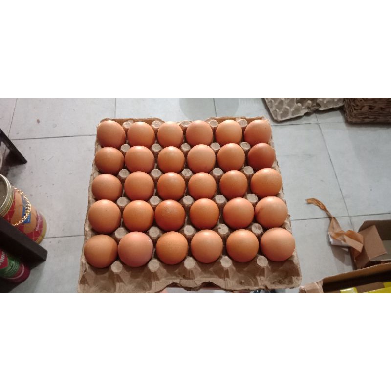 Jual Telur ayam negeri per KG DIJAMIN FRESH...kualitas premium | Shopee ...
