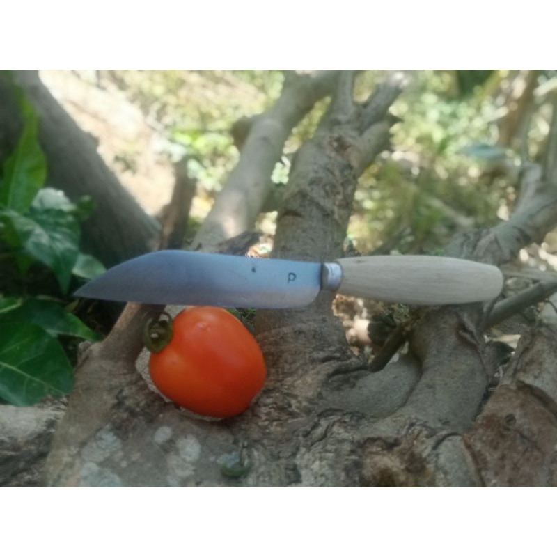 Jual PISAU KAMPUNG - PISAU DAPUR - PISAU PANDAI BESI | Shopee Indonesia