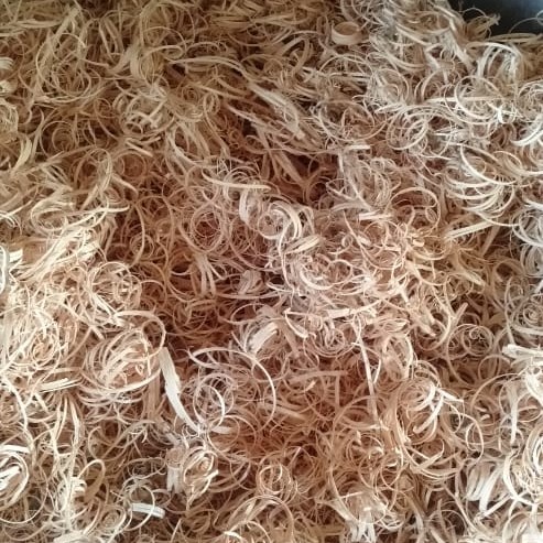 Jual Bubuk Kayu Bidara Laut / Doro Putih / Widoro Laut / Kayu Ular ...