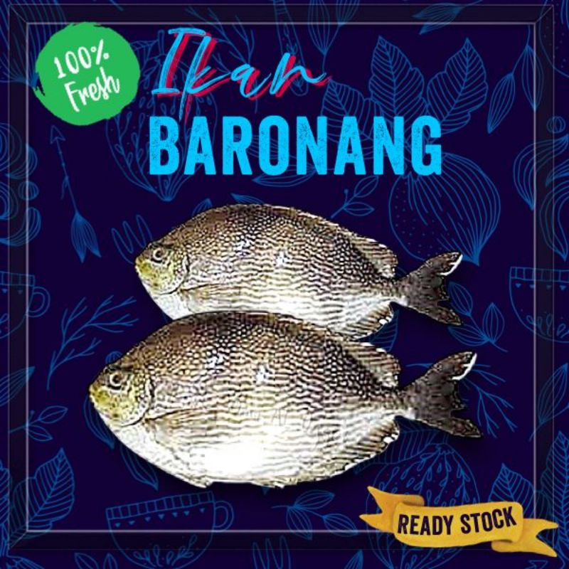 Jual IKAN BARONANG SEGAR/ FRESH RABBITFISH 500 GR/ 2 EKOR | Shopee ...