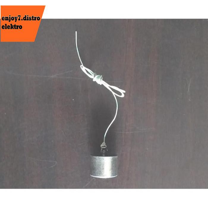 Jual Pendulum Bandul Matematis Massa 70 Gr Ayunan Untuk Praktek Fisika ...