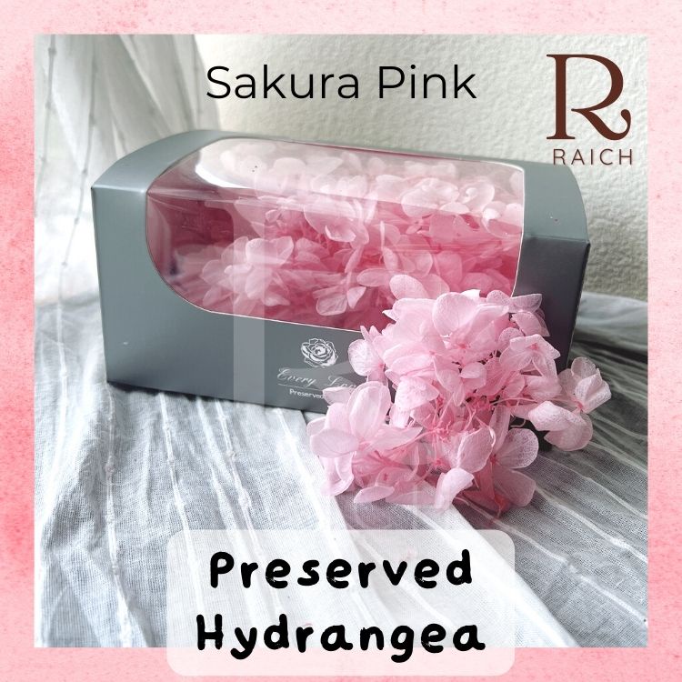 Jual Preserved Hydrangea Flower / Bunga Hidrangea yang Diawetkan Dried ...
