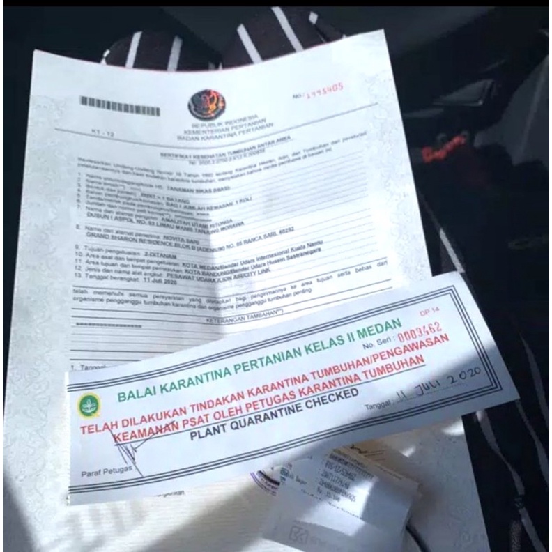 Jual surat karantina tanaman pengiriman luar pulau | Shopee Indonesia