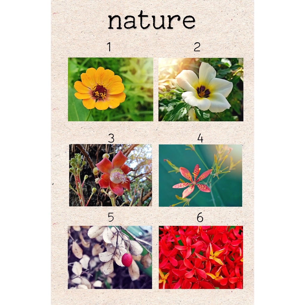 Jual Foto Tema Nature Warna Tajam, Cerah, Tidak Pecah Cocok Untuk ...