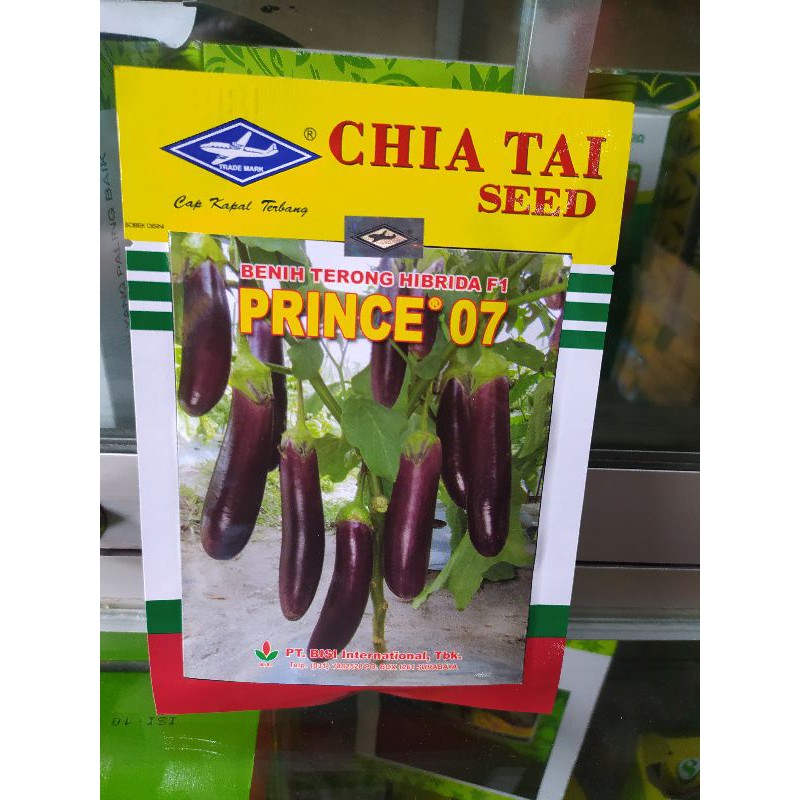 Jual Benih Bibit Terong Terung Hibrida F1 Prince 07 10Gr Original Pack ...