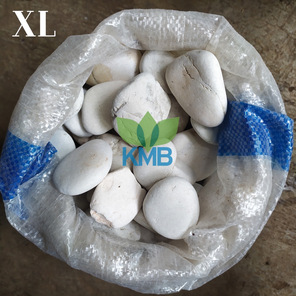 Jual Batu Koral Putih Taman / Batu Koral Putih Kecil Kupang 1 Kg | Hiasan Taman Aquascape ...