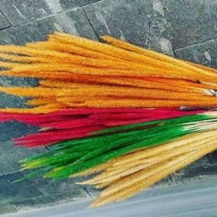 Jual Sataria warna natural gold merah dan hijau | Shopee Indonesia