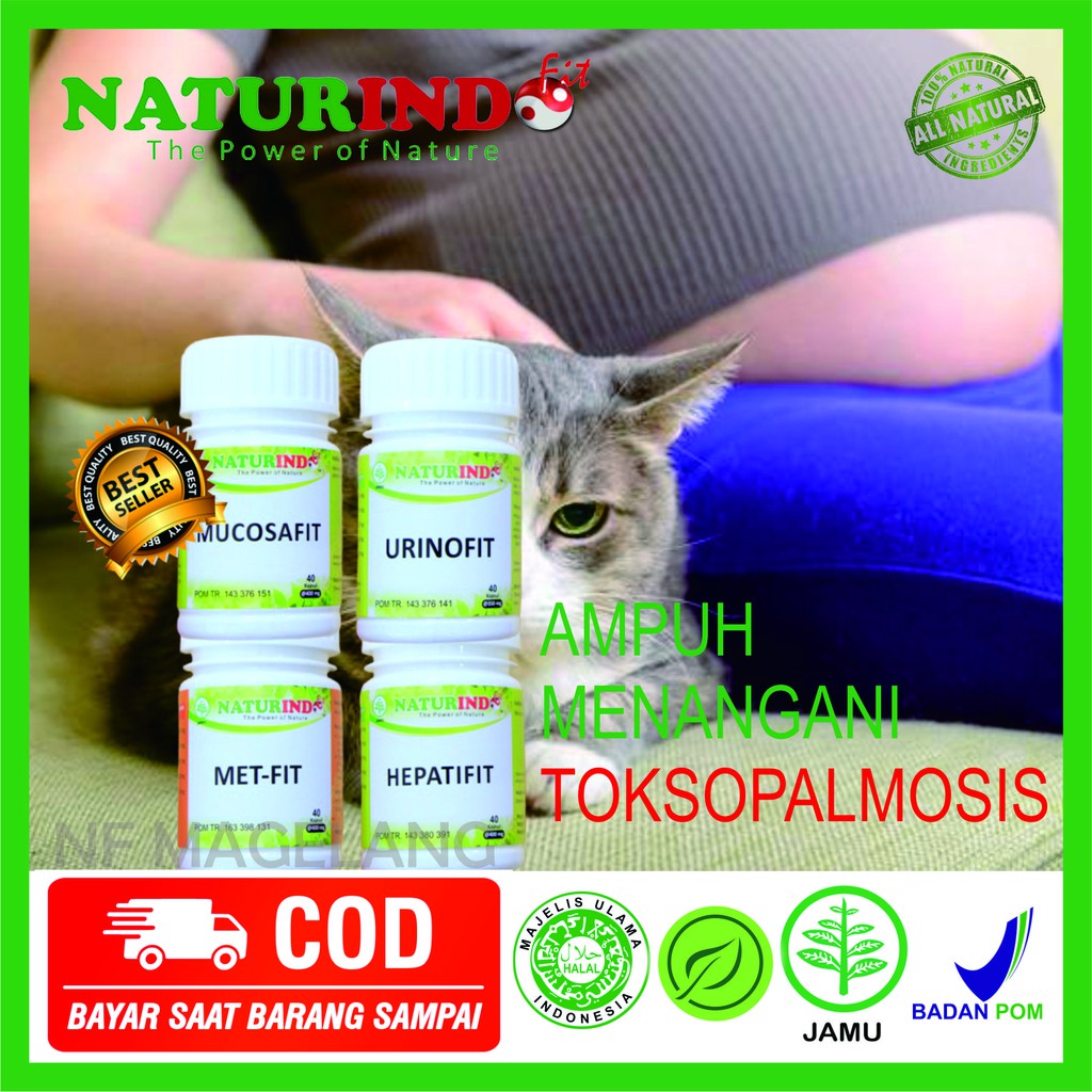 Jual Obat Toksoplasmosis alternatif pendengaran imun tubuh rendah ...